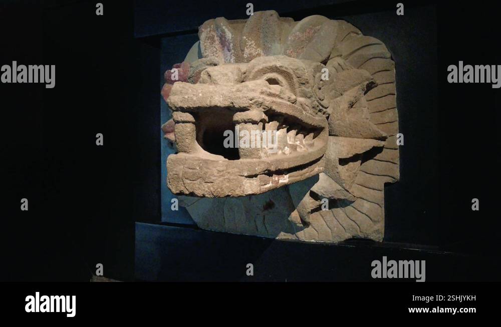 Feathered snake Stock Videos & Footage - HD and 4K Video Clips - Alamy