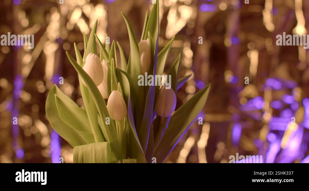 Camera movement shaking the bouquet in a golden background with light ...