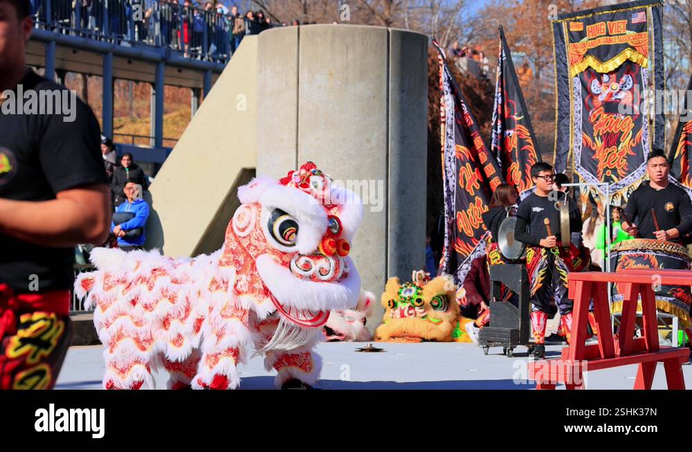 Lion dance performance in the Lunar New Year Festival Stock Video ...