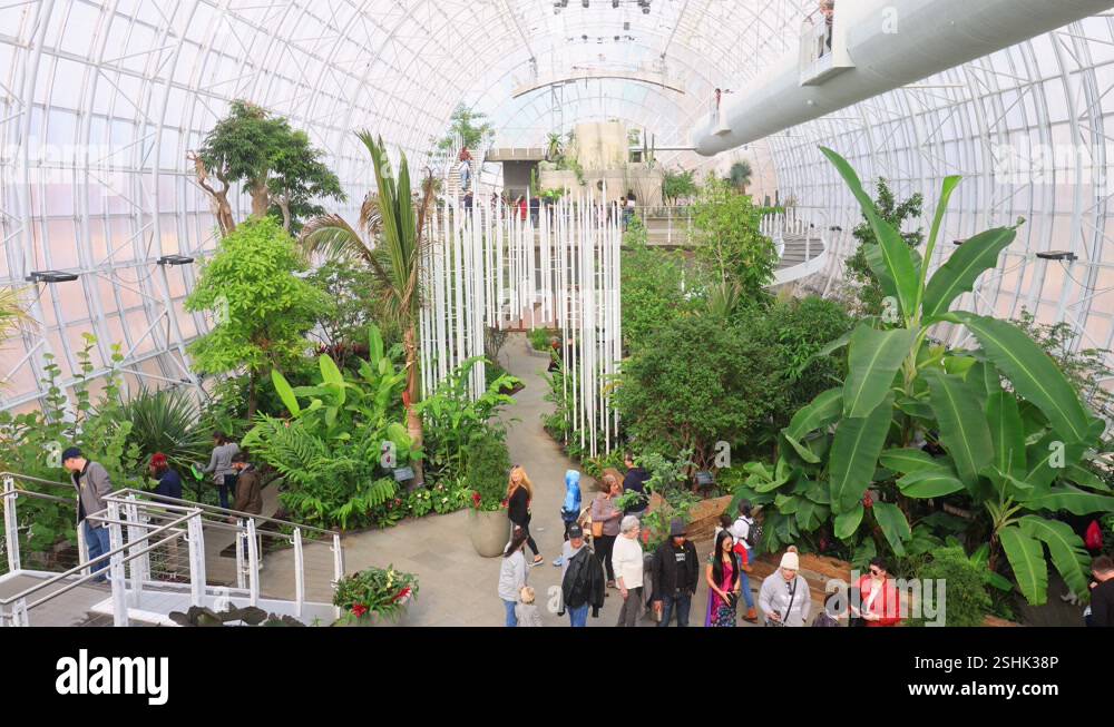 Interior view of the main building of Myriad Botanical Gardens Stock ...