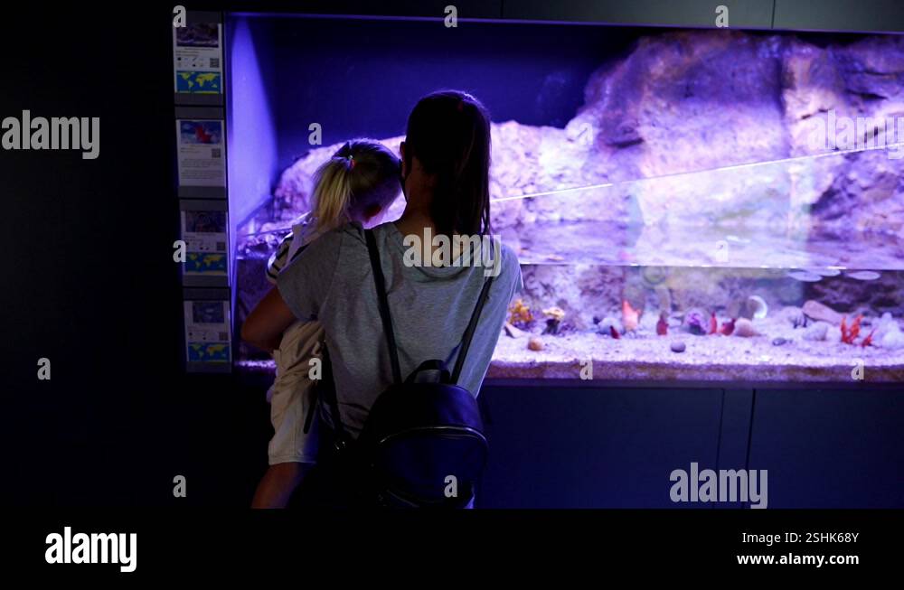 Mom with a little girl stand near the aquarium with silver fish in the ...
