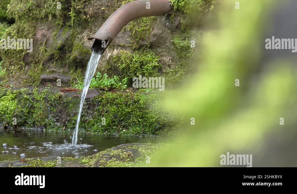 Side view of forest source, with rusty pipe and masonry stone, water ...