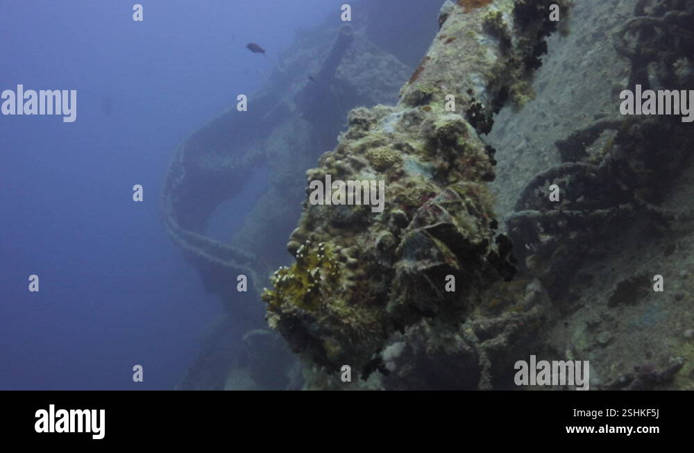 SS Thistlegorm is one of the most famous wrecks in the world carrying ...