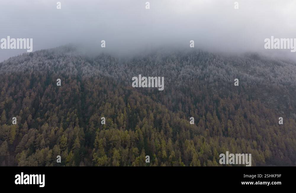 Sideways Upwards Drone Aerial of Snowy Tree Line in half snow covered ...