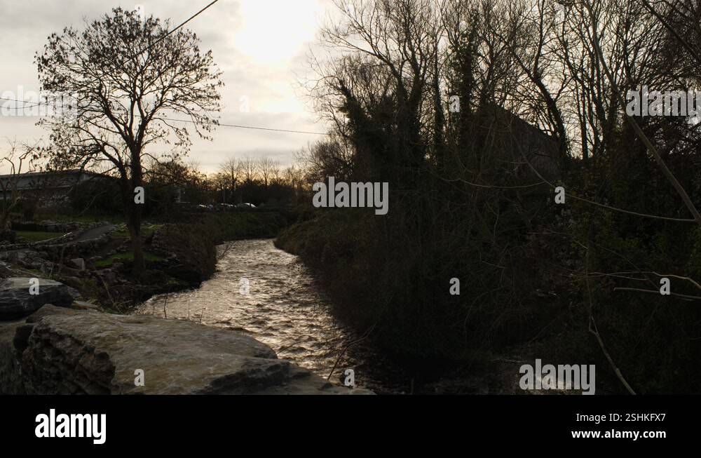 Static shot of a river landscape backlight with trees, low sun and ...