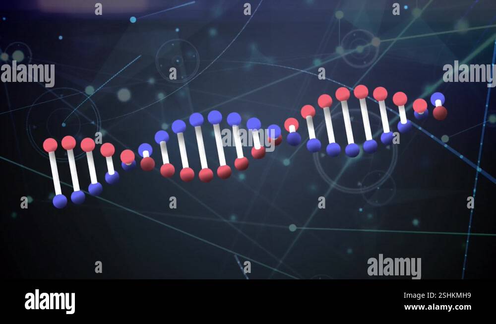 Animation of dna structure spinning over network of connections and ...