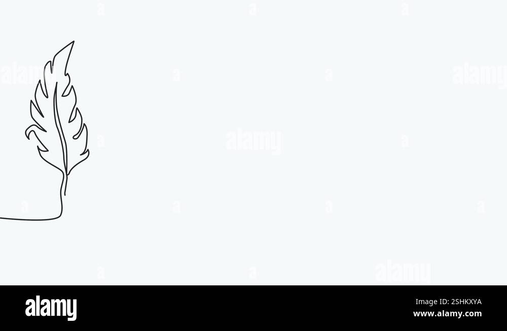 Self-drawing animation of continuous drawing of one line of an isolated ...