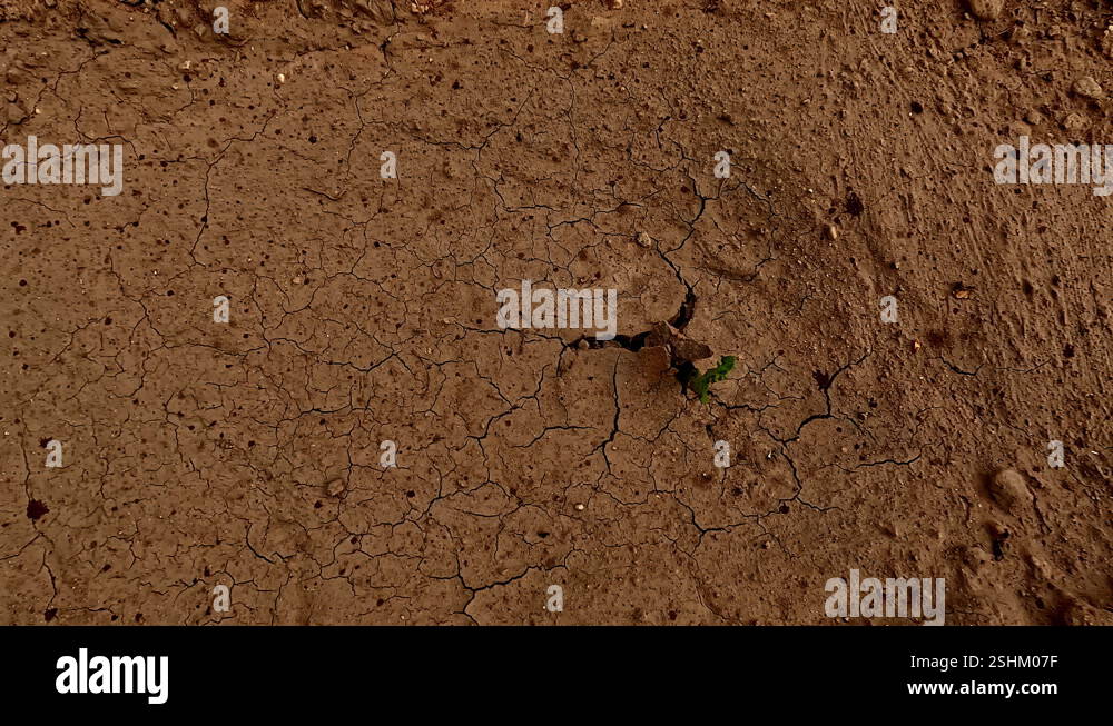 raining on dry dirt. Soil drought concept - lack of water, climate ...