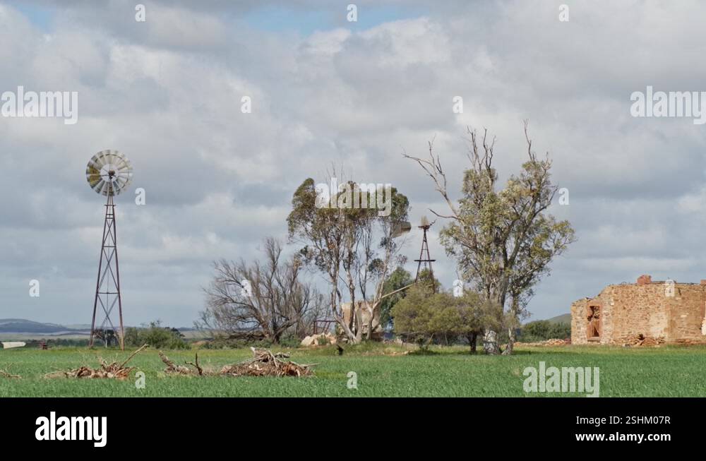 Flinders Rangers Orroroo Ruin in Field Windmill turning Windy 007 Stock ...