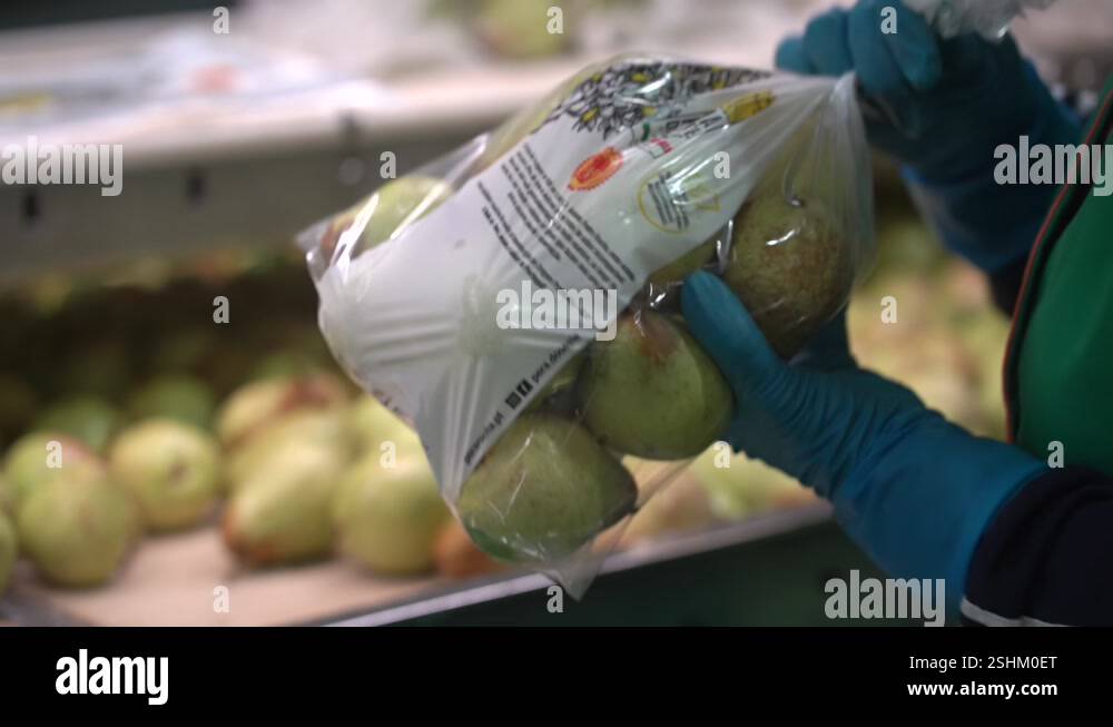 Pears in packing house packed in plastic bags. fruit pears in a basket ...