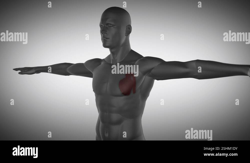 Montage of grey digital body Stock Video Footage - Alamy