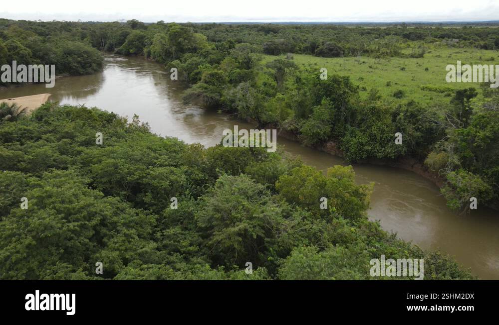 Rupununi River, Amazon Basin. Aerial View of Muddy Water and Green ...