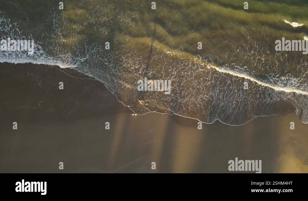 Overhead Shot Of Person Running With Dog On Sandy Beach At Sunset ...
