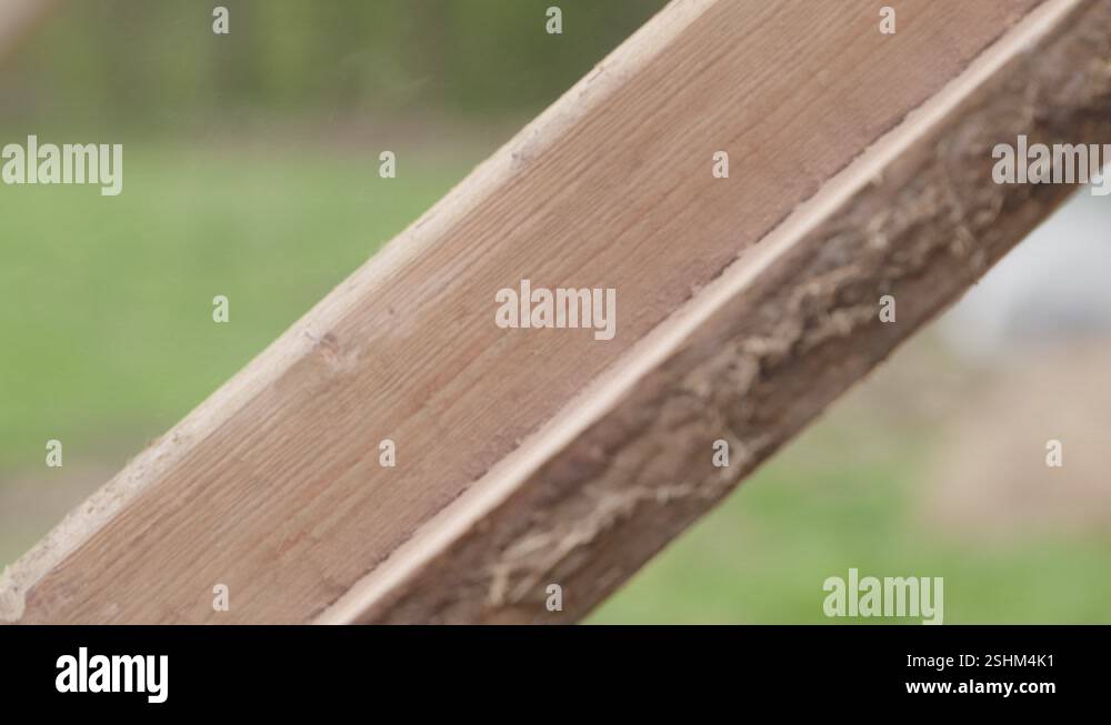 Transporting logs of timber on wooden ramp at deconstruction site ...