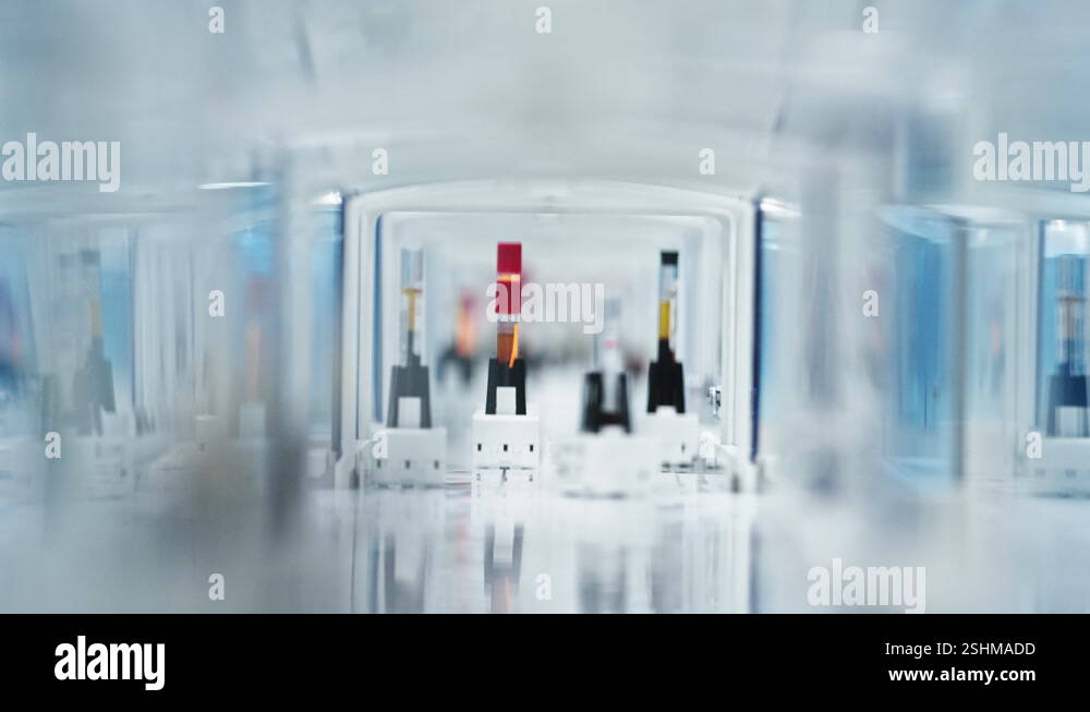 Central focus on blood samples and test tubes on a laboratory's belt ...