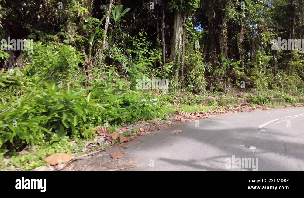 Slow move at asphalt road with no car at Balik Pulau, Penang Stock ...