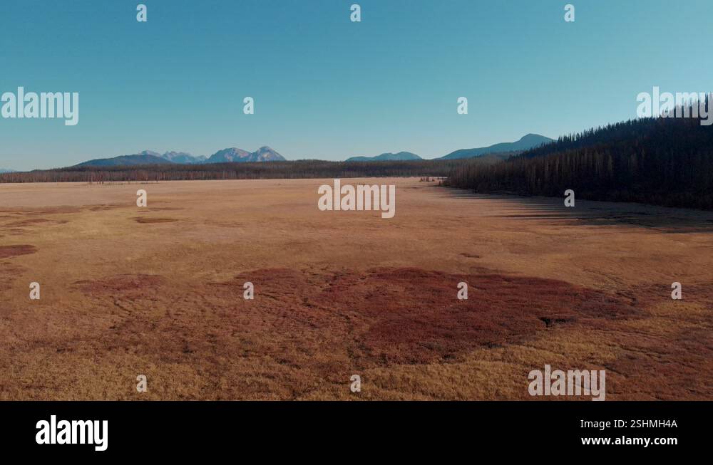 4K Drone fly over open country field in the Sawtooth Mountains, Stanley ...
