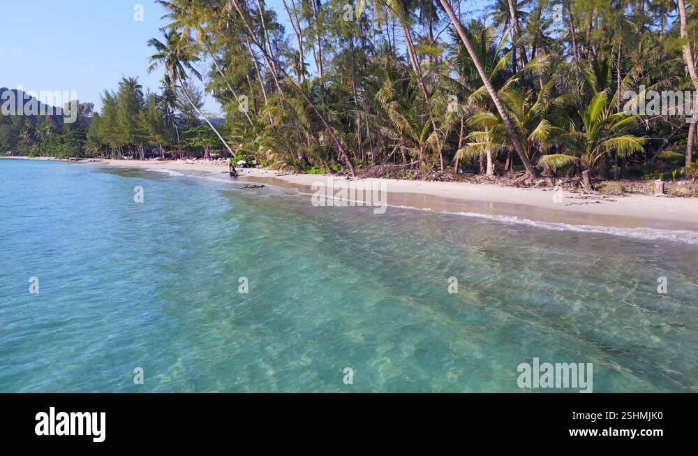 Polluted beach 2022 Stock Videos & Footage - HD and 4K Video Clips - Alamy