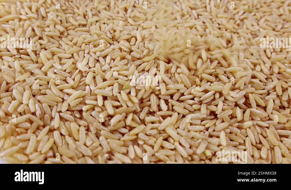 Uncooked whole grain brown rice seeds falling down with circle rotation ...