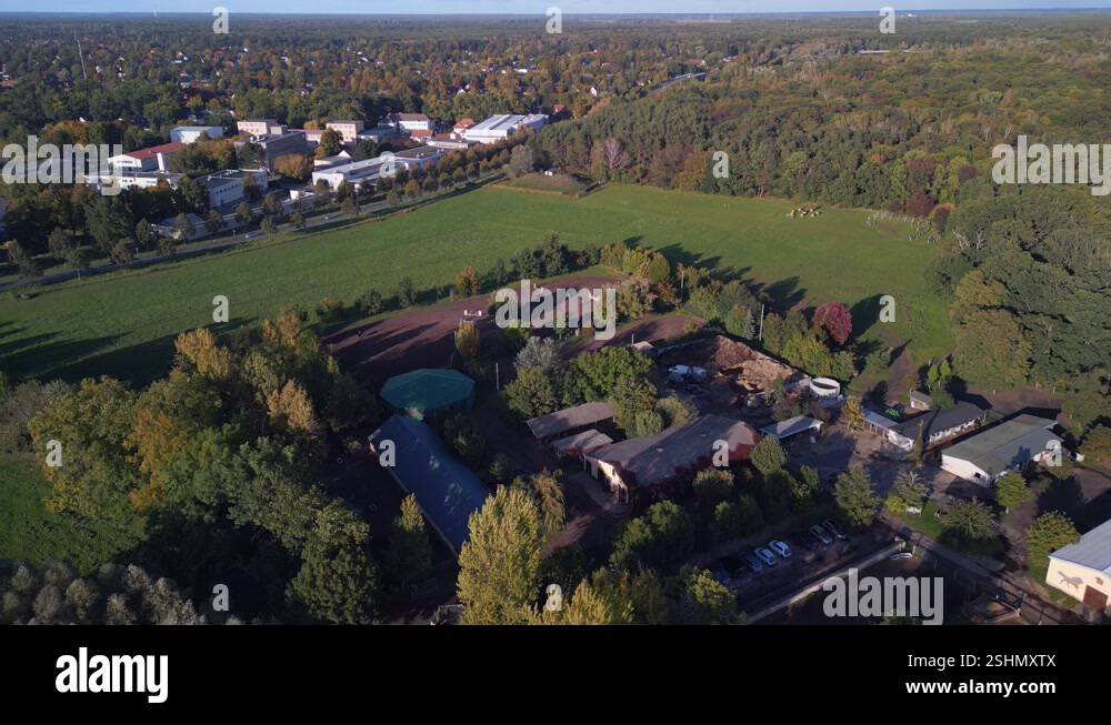 Horse farm and paddock in havelland Germany Gorgeous aerial view flight ...