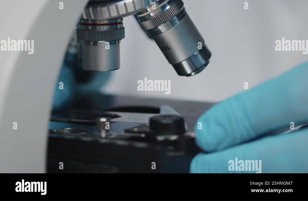 Researcher Putting Slide under Lens of Microscope before Investigation ...