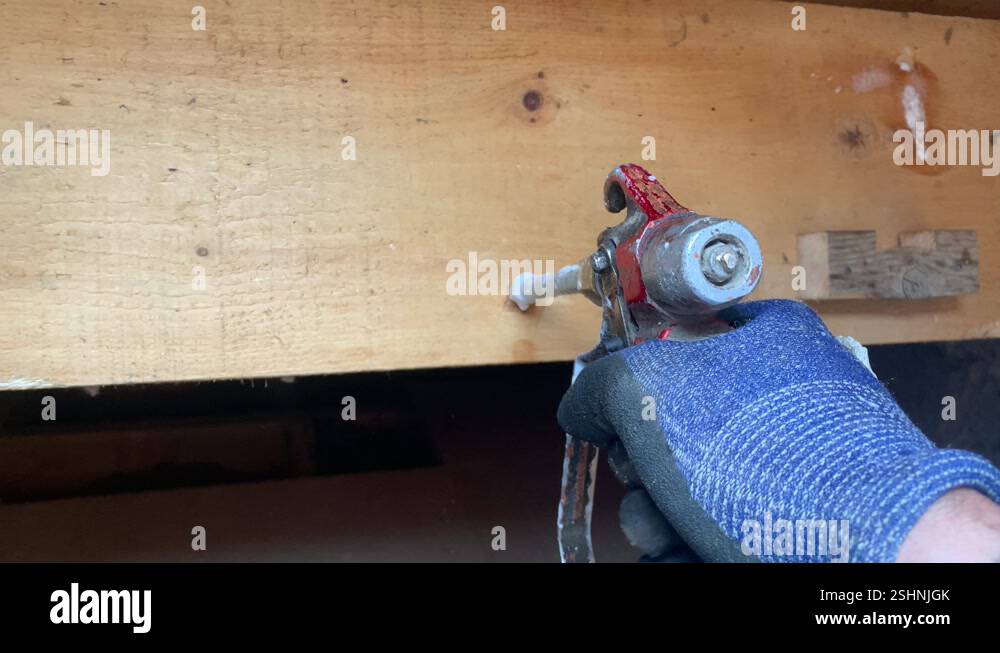 Inject the Woodworm Killer Solution Insecticide to Create Active Zones ...