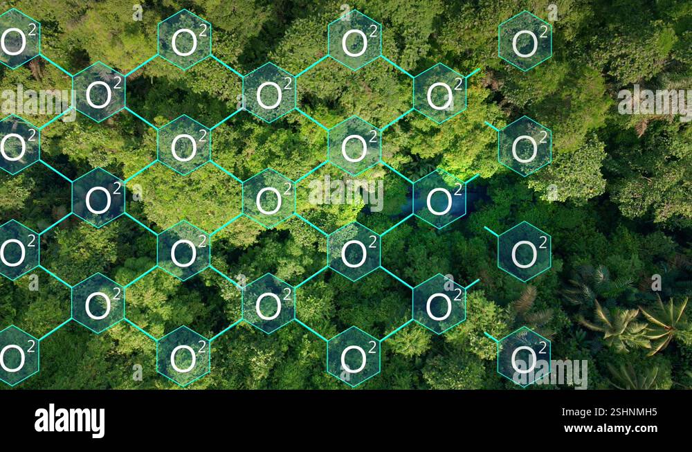 Dioxygen (O2) Oxygen Guard Appearing Over The Trees In The Forest Stock ...