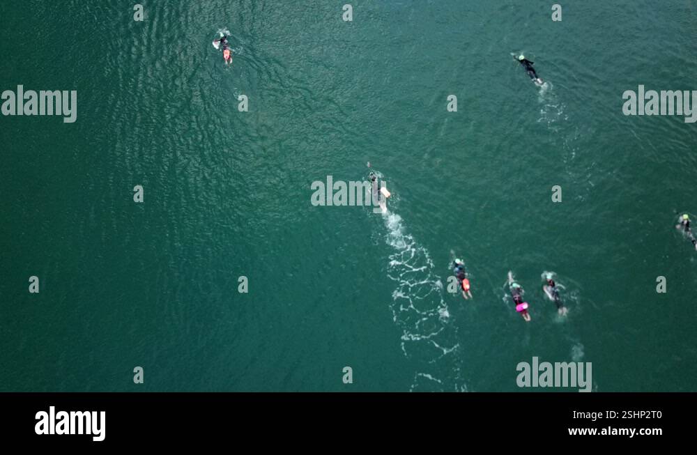 Group of swimmers training for marathon in open water. New Zealand ...