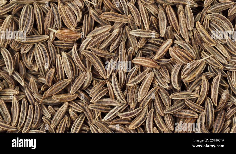 Cumin seeds texture Stock Videos & Footage - HD and 4K Video Clips - Alamy