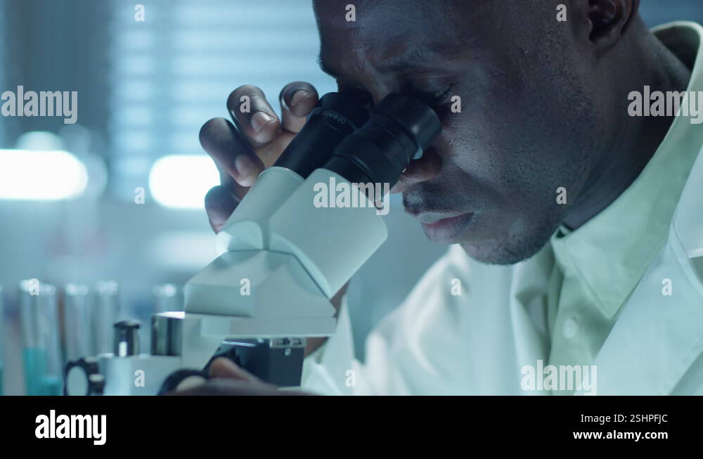 Compound using Stock Videos & Footage - HD and 4K Video Clips - Alamy