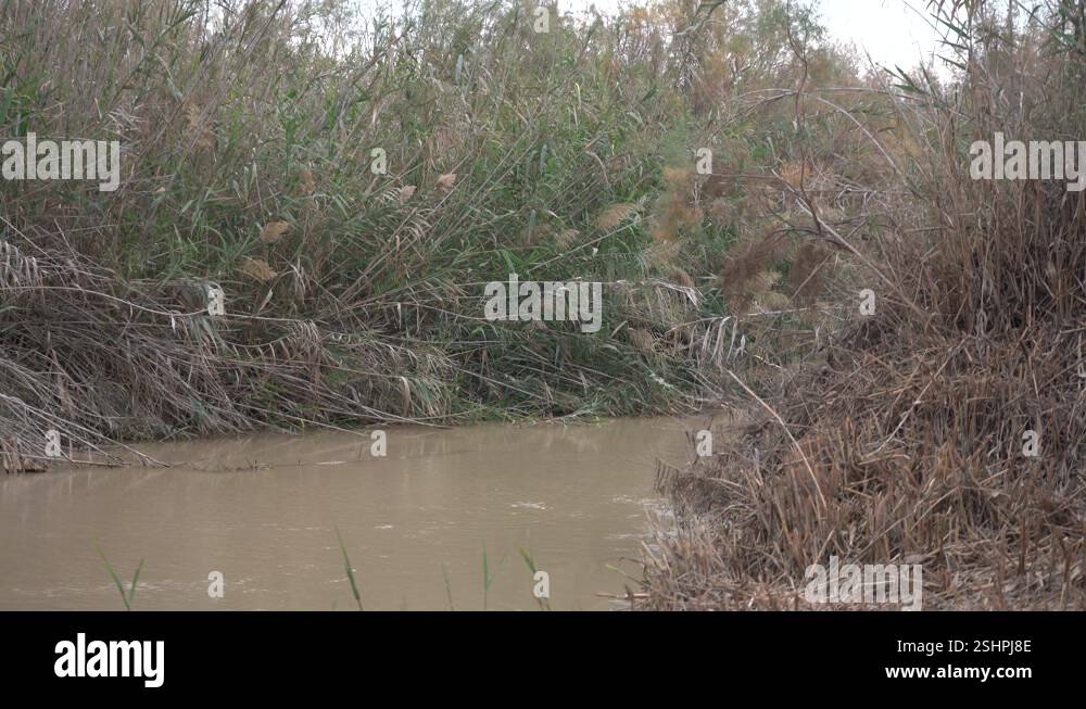 jordan river israel palestine jordan Stock Video Footage - Alamy