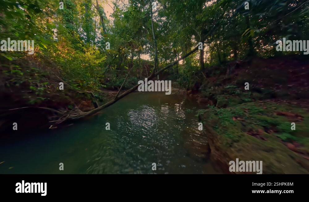 Fpv Flight over Rio Comate River in deep jungle with plants in ...