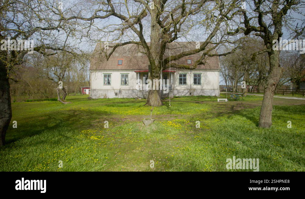 old mansion with a big tree in it's garden in spring time Stock Video ...