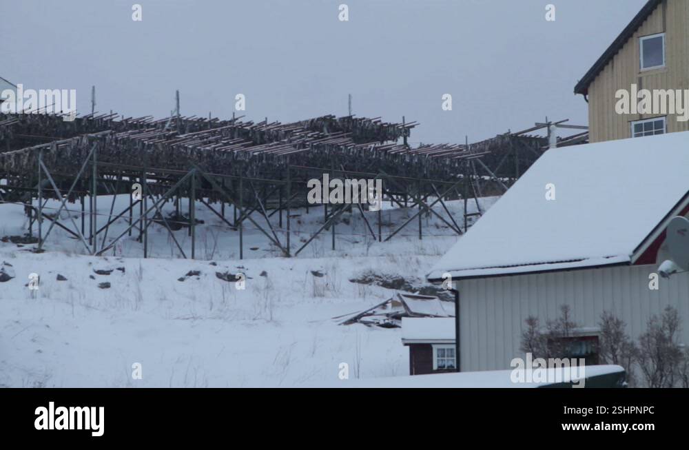 Hermen Stock Videos & Footage - HD and 4K Video Clips - Alamy