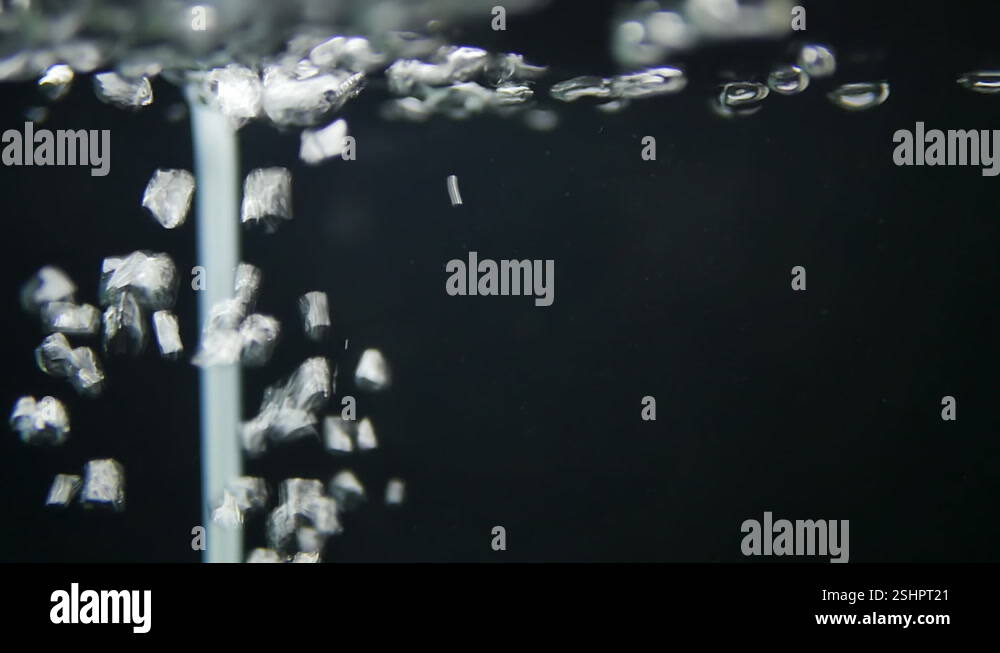 Air bubbles in water rise up on a black background. Oxygenation of ...