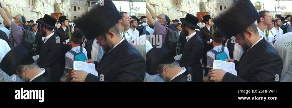 A rabbi admor prays during Sukkot Tabernacles Western Wall ...