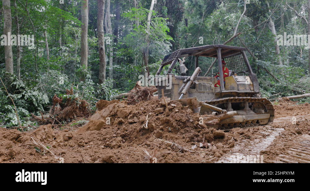 Close-up.Deforestation.Bulldozer making roads rainforest easy access to ...