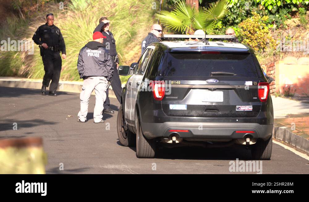 Police at crime scene Stock Videos & Footage - HD and 4K Video Clips ...