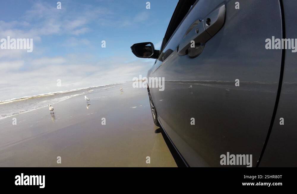 Gray car driving at the seaside. The driver sticks out his arm. The car ...