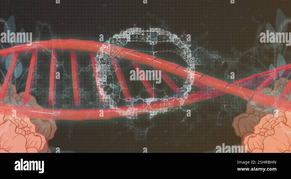 Animation dna structure digital wave Stock Videos & Footage - HD and 4K ...