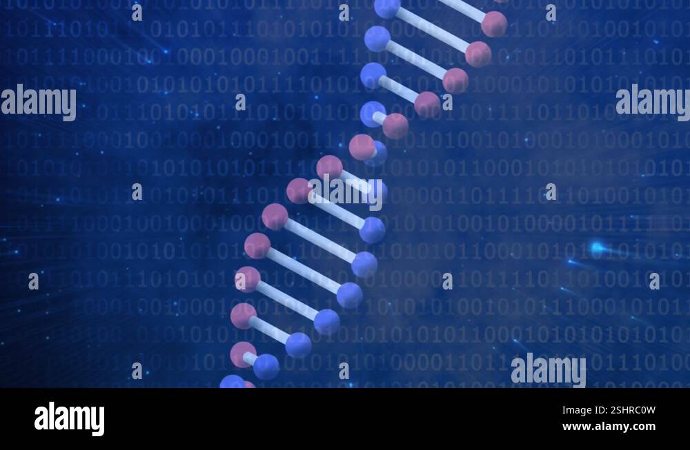 Animation binary coding dna strand Stock Videos & Footage - HD and 4K Video Clips - Alamy