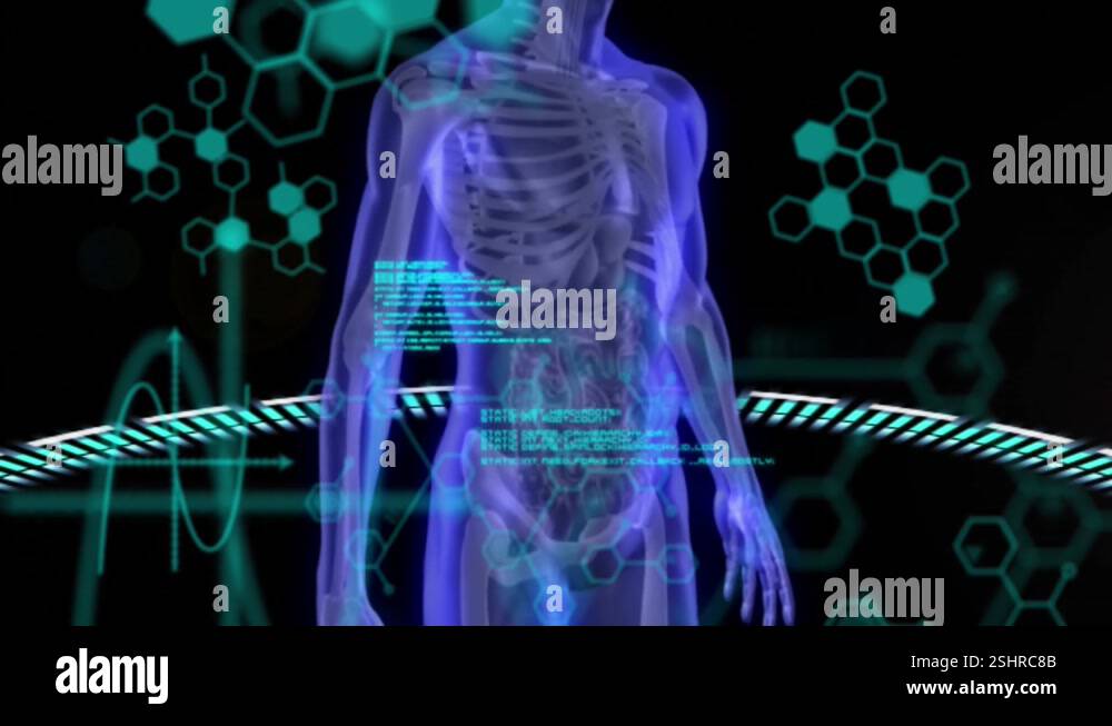 Animation human body scientific data Stock Videos & Footage - HD and 4K ...