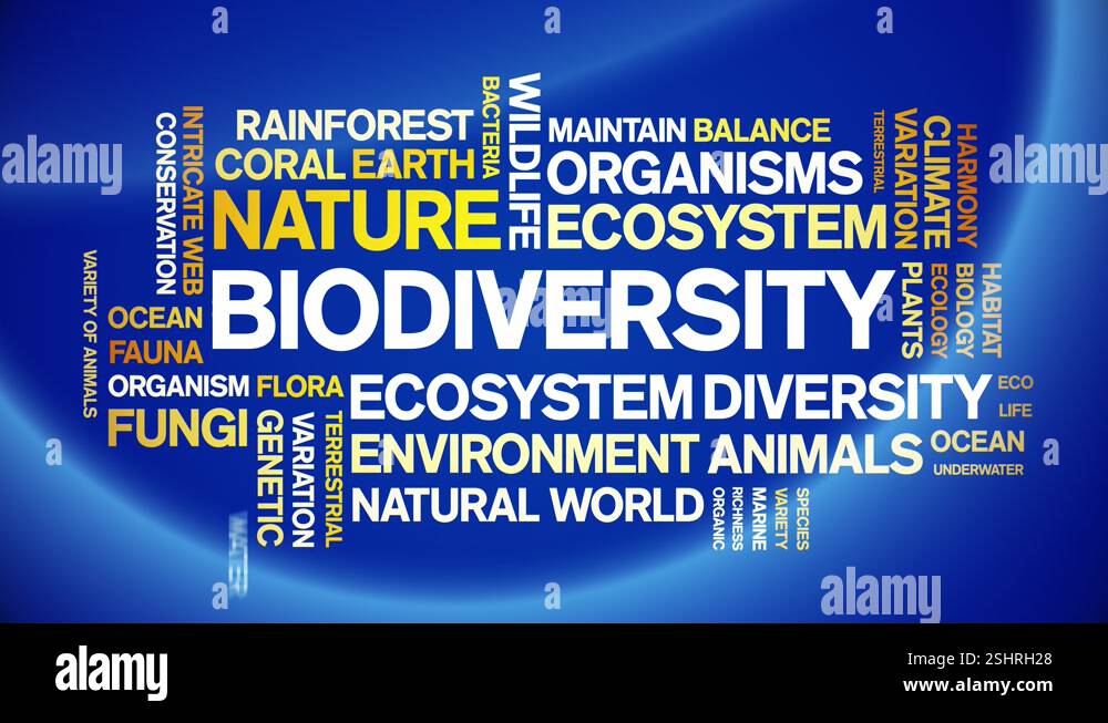 Biodiversity animated word cloud,tag animation kinetic typography ...