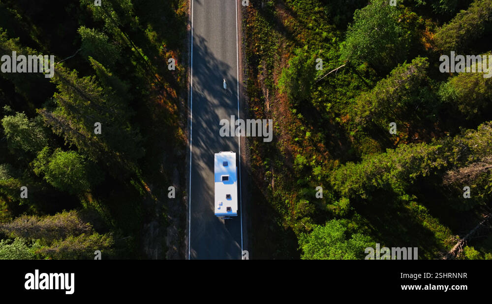 Blocking way to the forest Stock Videos & Footage - HD and 4K Video ...