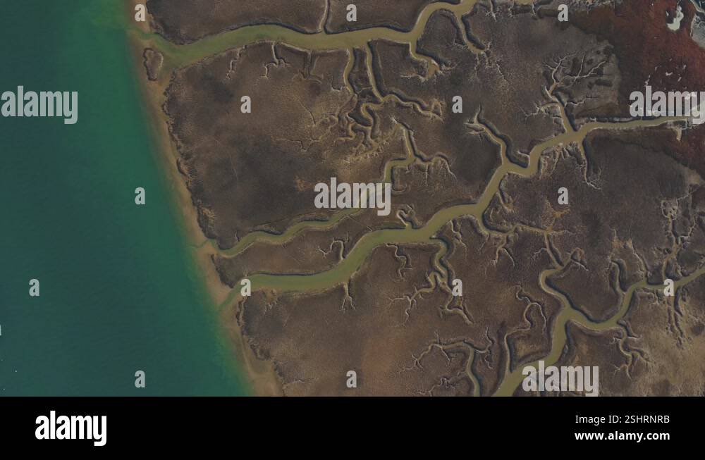 Water veins Stock Videos & Footage - HD and 4K Video Clips - Alamy