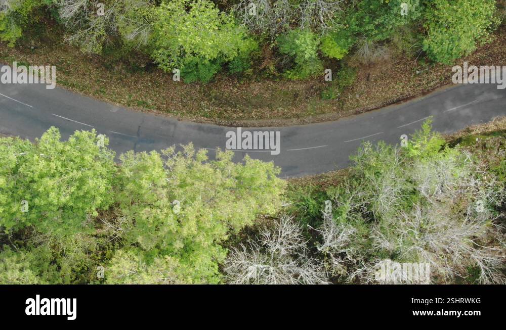 Curved road in rural landscape. Aerial top-down sideways directly above ...