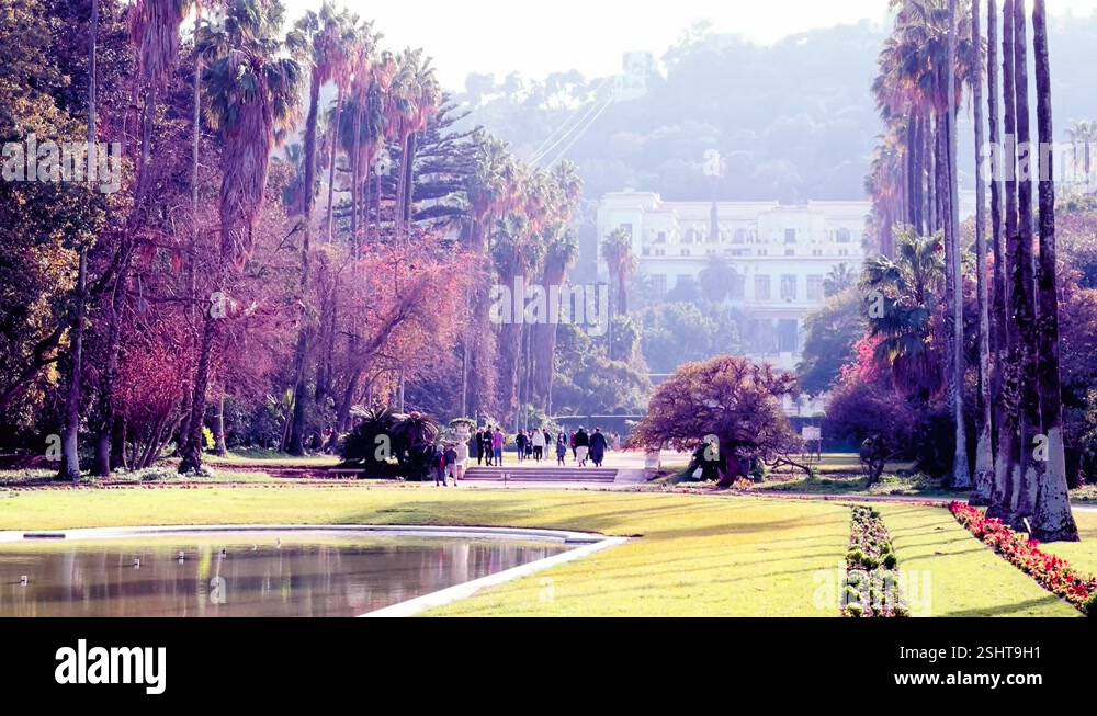 Footage of Algeria, North Africa. Discover the stunning flora and fauna ...