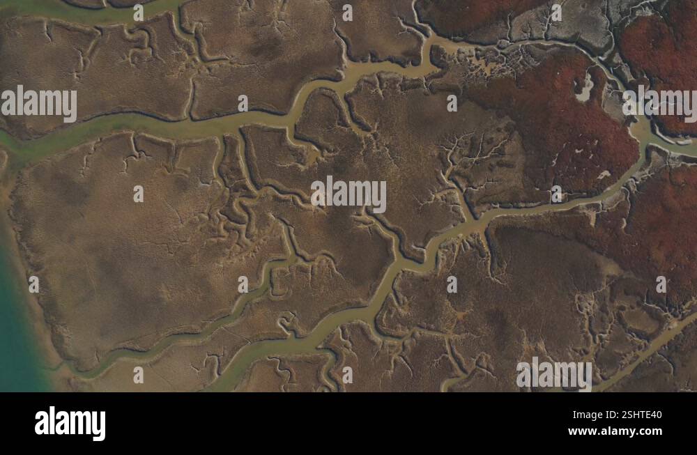 River channels flow through marshland sediment like veins Stock Video ...