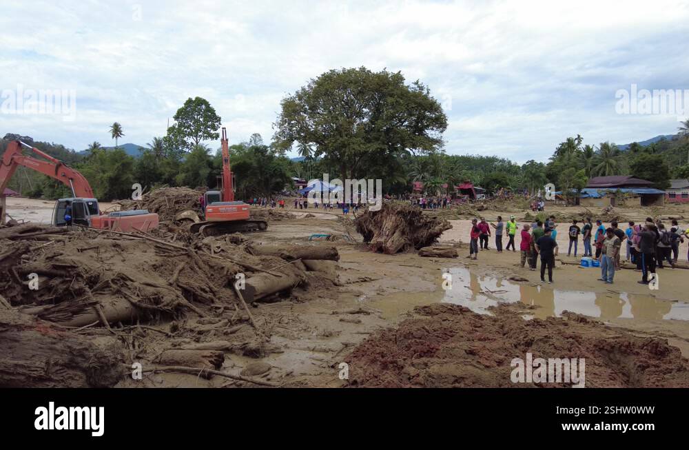 Mud tree Stock Videos & Footage - HD and 4K Video Clips - Alamy