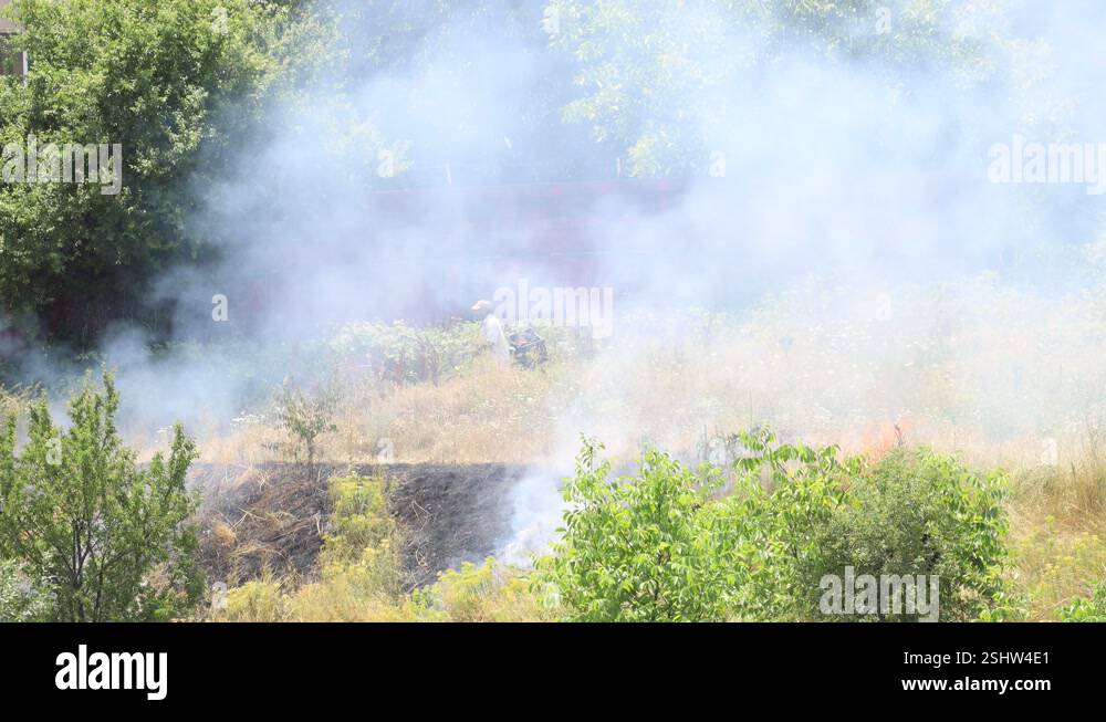 Smoke fire burning mustache Stock Videos & Footage - HD and 4K Video ...